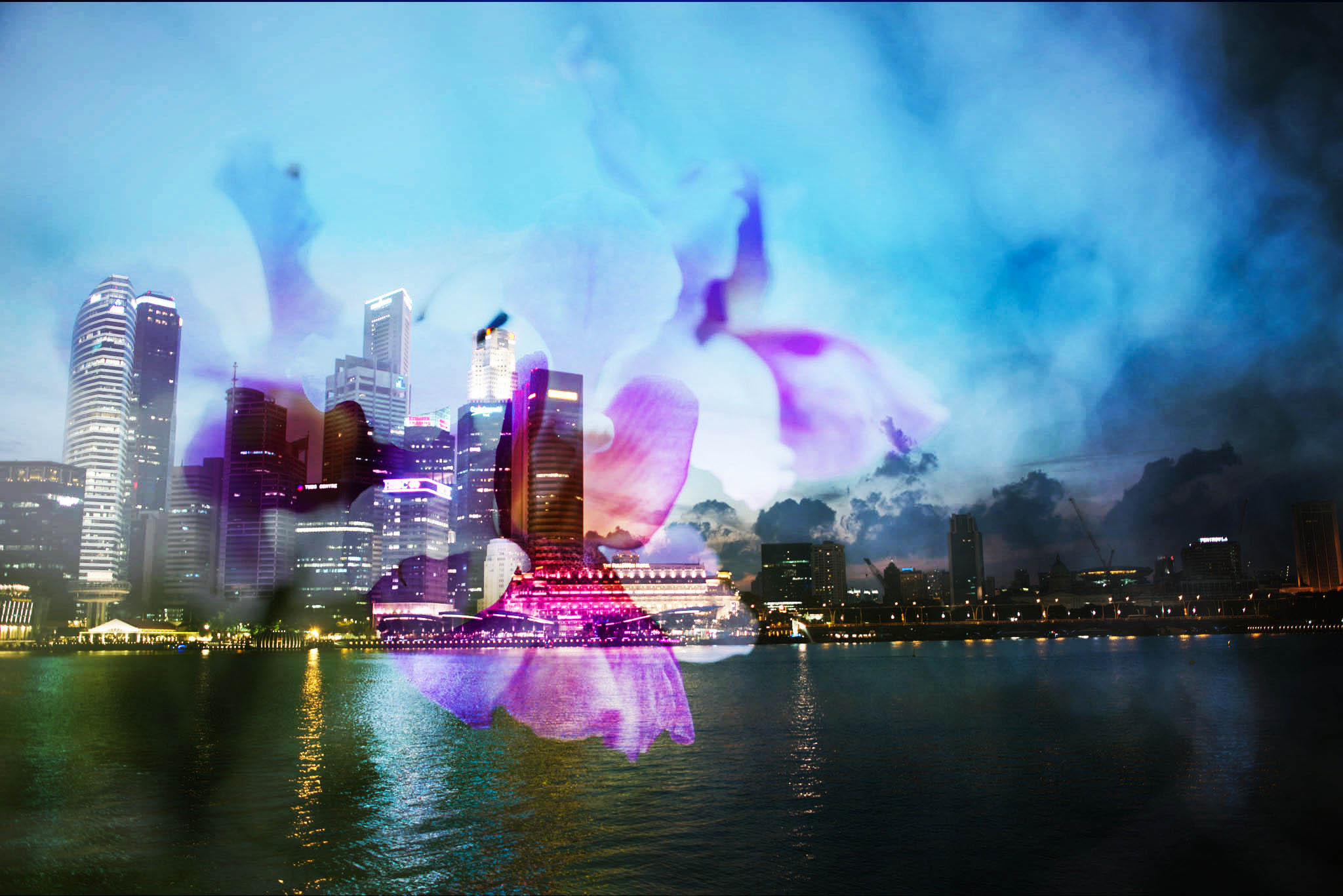Flora City – Dorottya Acs